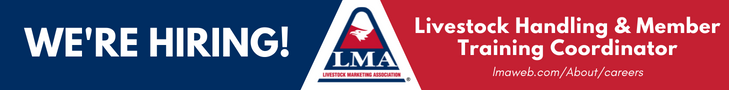 Auctions - LMA Auctions